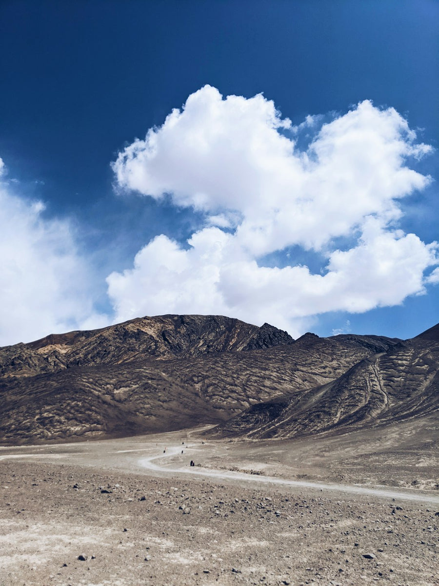 The Fascinating Science Behind How Magnets Work – Feel Flux